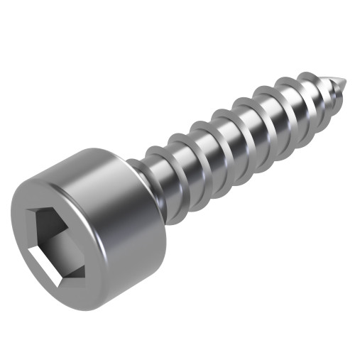 Self Tapping Hex Socket Cap Head Screws